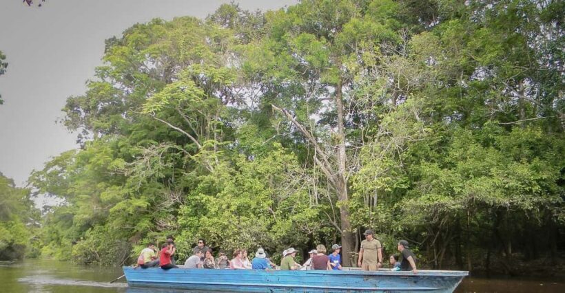 Iquitos : Amazon Jungle Full Day Excursion - The Sum Up