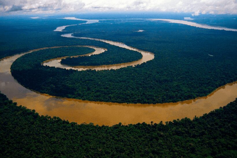 Iquitos: Tour of the Amazon in 2 days - A Deep Dive into the Amazon 2-Day Tour