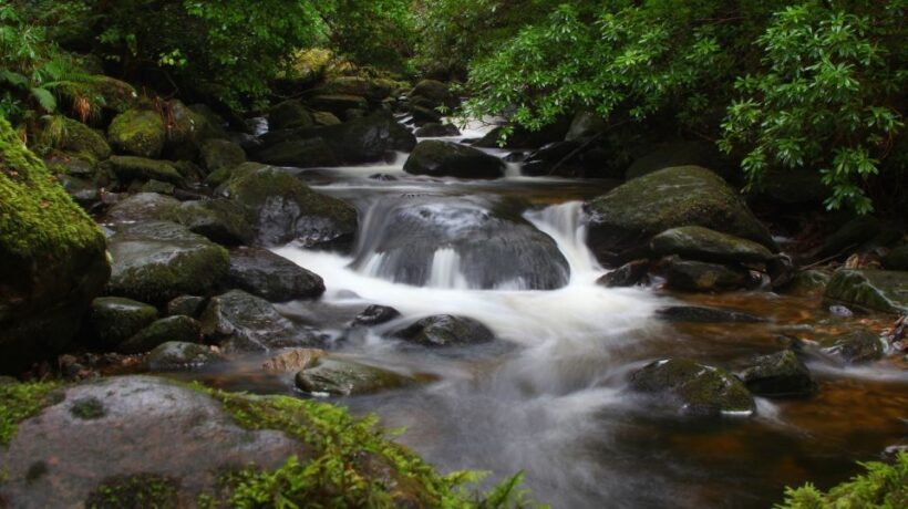 Ireland: 2 Day Wild Atlantic Way Tour - Who Will Enjoy This Tour?