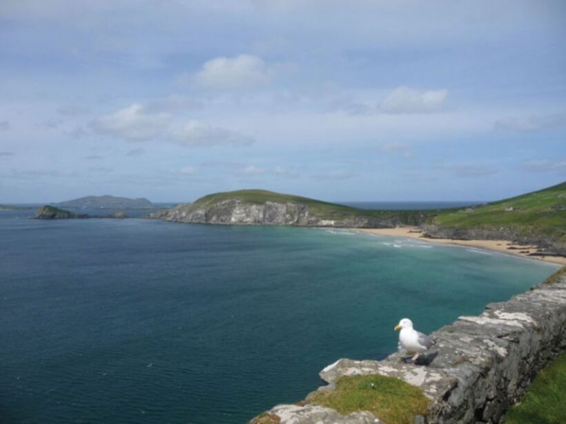 Ireland's North Atlantic Coast 5-Day Tour from Dublin - Frequently Asked Questions