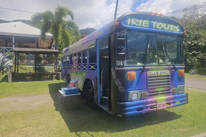 Irie Vibe Open Air Scenic Adventure - Exploring the Tour: A Step-by-Step Journey