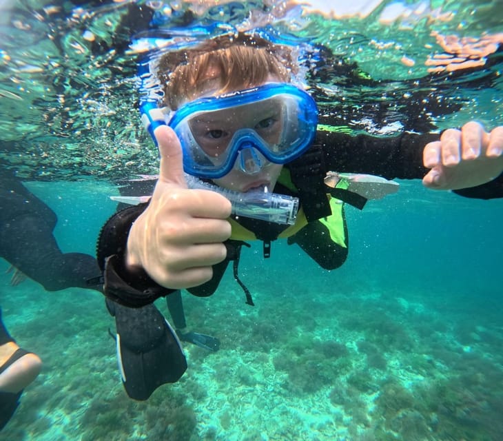 Iriomote: Coral Snorkeling and Yubujima Sightseeing Tour! - Important Guidelines