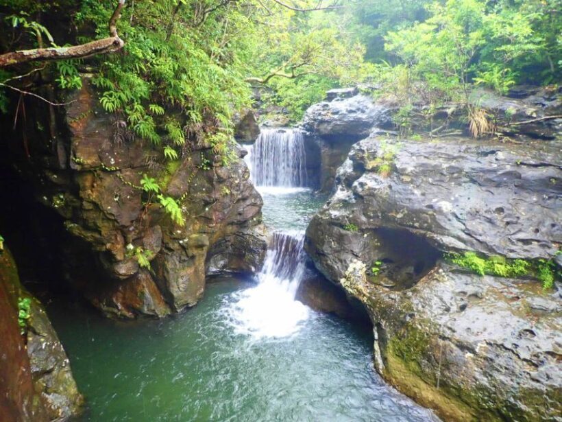 Iriomote Island: Guided 2-Hour Canyoning Tour - Frequently Asked Questions (FAQs)