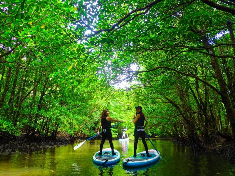 Iriomote Island: Kayaking and Canyoning Tour - Participant Restrictions