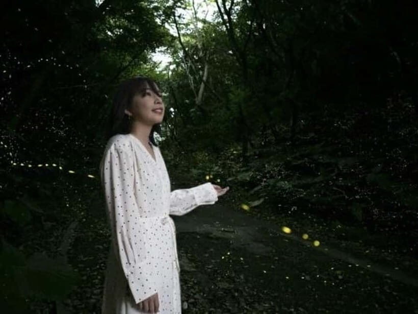 Iriomote Island Limited Time Yaeyama Firefly Viewing Tour - Who Will Love This Tour?