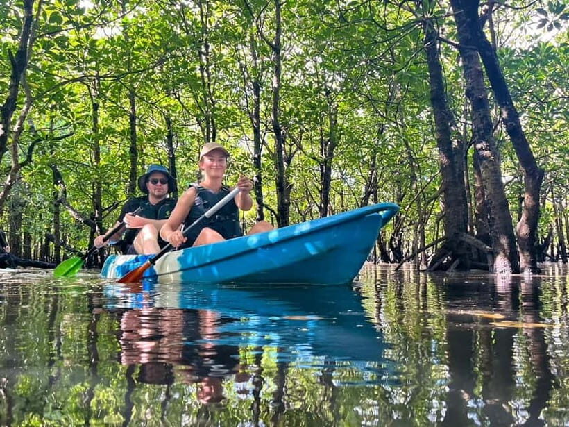 Iriomote island: Mangrove River SUP or Canoe Cruising Tour - Why Choose This Tour?