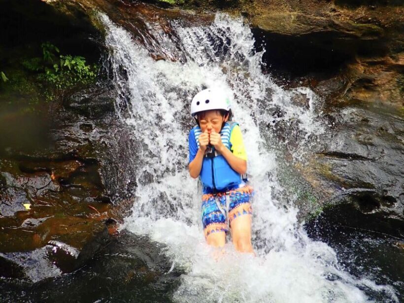 Iriomote Island: SUP or Canoeing and Canyoning Tour - FAQ