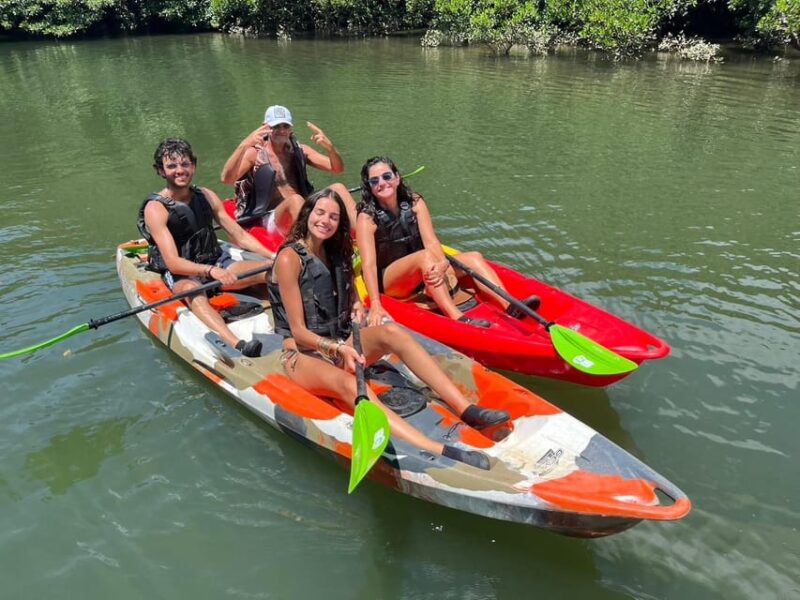 Iriomote: Mangrove Canoe and Yubujima Sightseeing Tour! - Itinerary and Experience