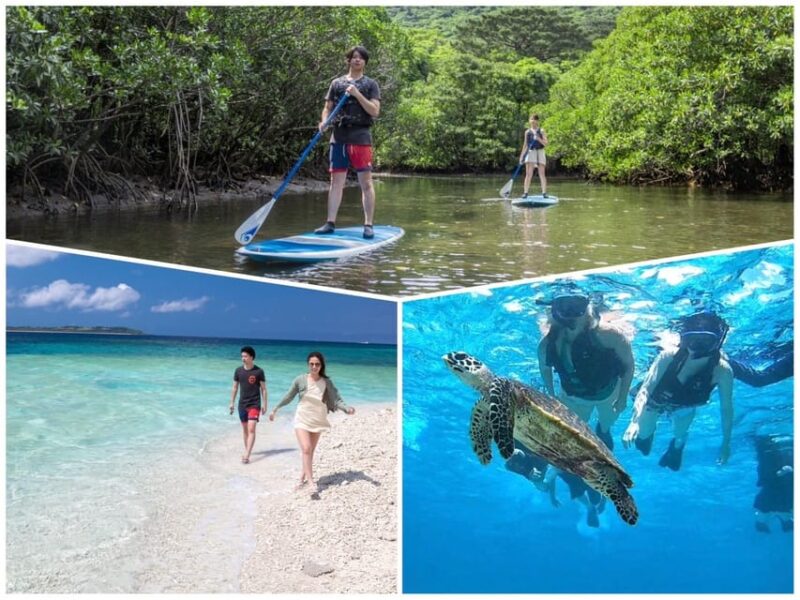 Iriomote Mangrove SUP and Snorkeling at Coral Island - Key Points