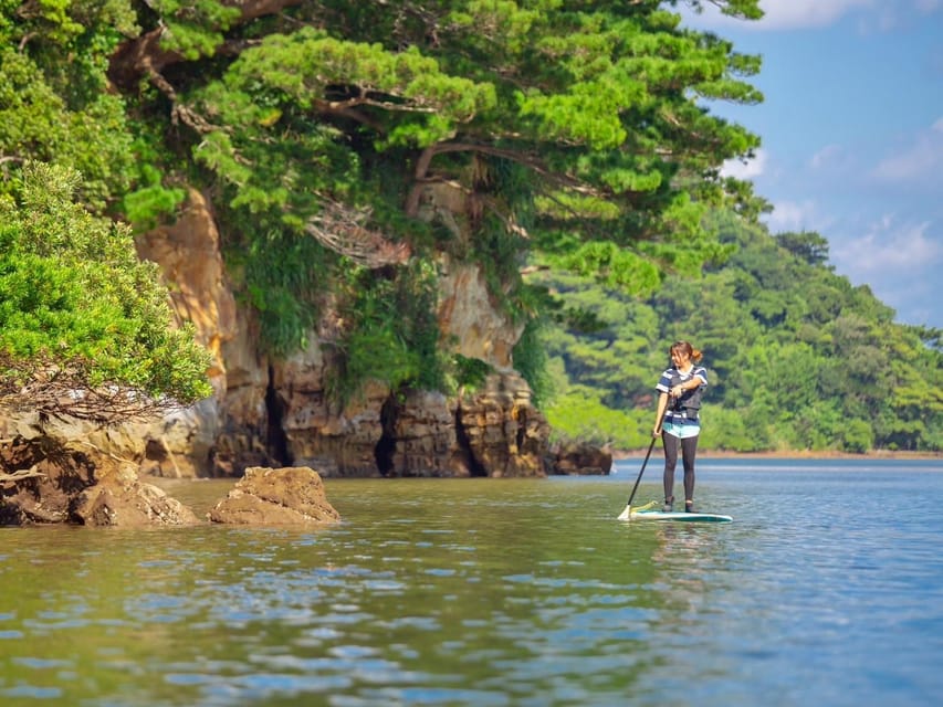 Iriomote Mangrove SUP and Snorkeling at Coral Island - Important Information