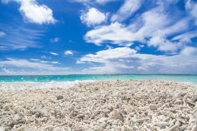 Iriomote Mangrove SUP and Snorkeling at Coral Island - Exploring Iriomote Island