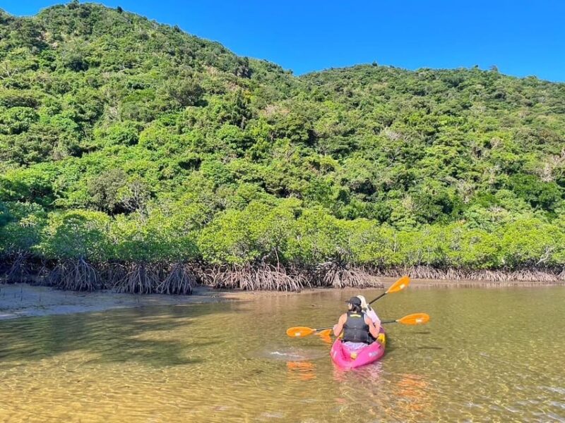Iriomote Mangrove SUP and Snorkeling at Coral Island - Frequently Asked Questions