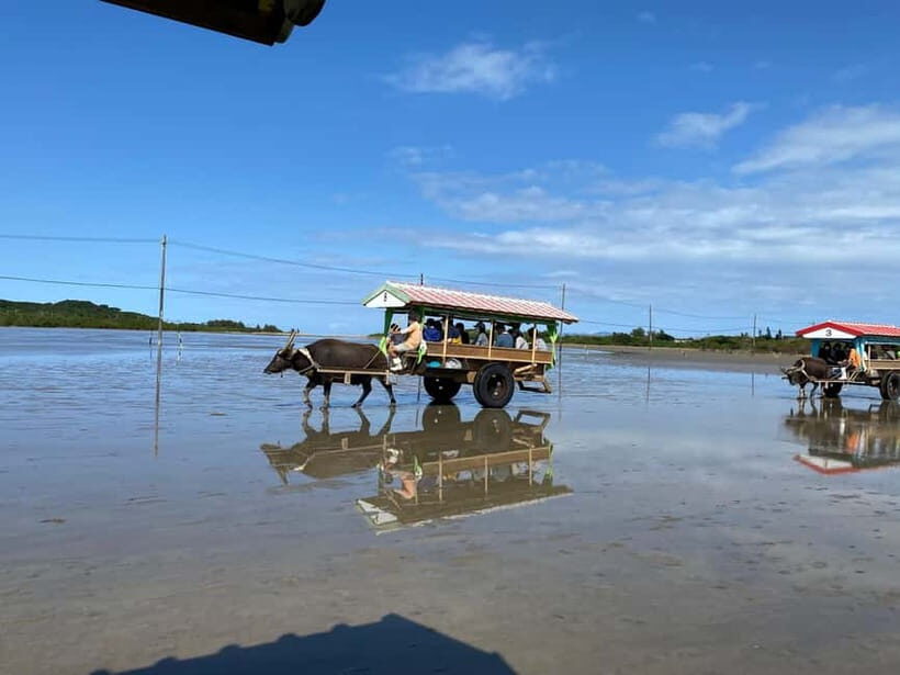 Iriomote: Mangrove SUP or Canoe and Yubujima sightseeing - Iriomote: Mangrove SUP or Canoe and Yubujima Sightseeing – A Detailed Review