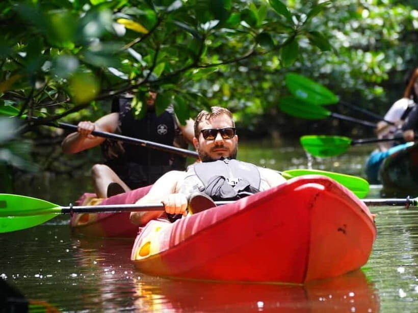 Iriomote: Mangrove SUP or Canoe and Yubujima sightseeing - What Do Travelers Say?