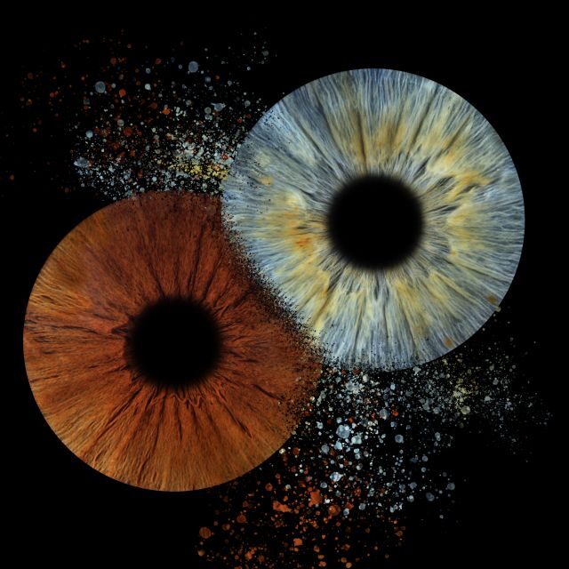 Iris shooting-Photo Print - Who Is This Experience Best For?
