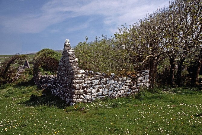 Irish Famine Museum / Exhibition Dublin - Historical Context and Significance
