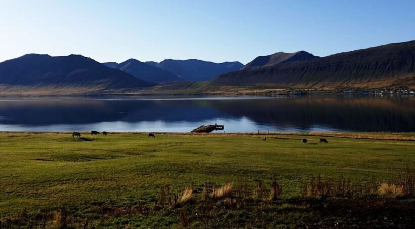 Isafjordur: Dynjandi Waterfall Tour and Icelandic Farm Visit - Farm Visit at Gemlufell