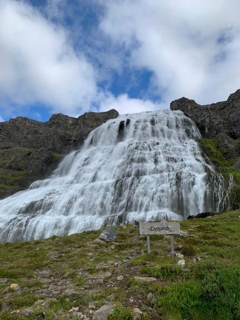Isafjordur: Dynjandi Waterfall Tour and Icelandic Farm Visit - The Practical Side: Transportation, Price, and Timing