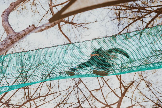 Ischia Adventure Park - Visitor Reviews and Experiences