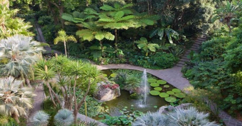 Ischia and Mortella Gardens Full-Day Tour from Sorrento - The Scenic and Cultural Highlights of Ischia