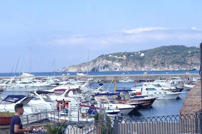 Ischia Food Tastings & Sightseeing: Private Day Trip from Naples Port - Why This Tour Offers Good Value