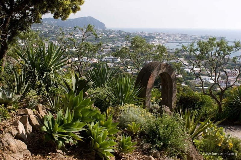 Ischia: La Mortella Gardens Trip with Optional Lunch - Overview of the La Mortella Gardens Tour