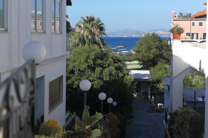 Ischia Private Day Trip from Sorrento with Local Guide and Driver - Who Would Love This Tour?