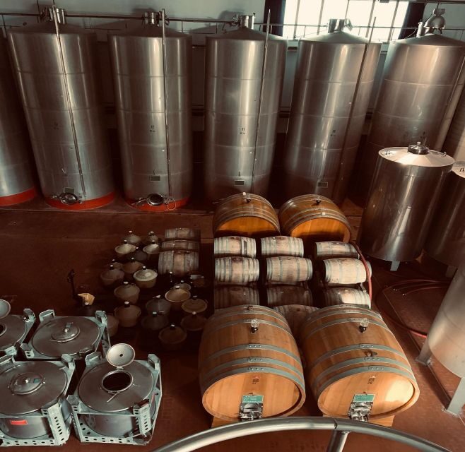 Ischia: Vineyard Tour & Wine Tasting Experience w/ Transfers - An In-Depth Look at the Tour Experience