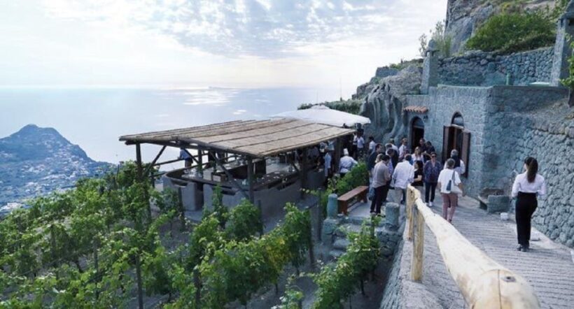Ischia: Vineyard Tour & Wine Tasting Experience w/ Transfers - What’s Notable: Strengths & Considerations