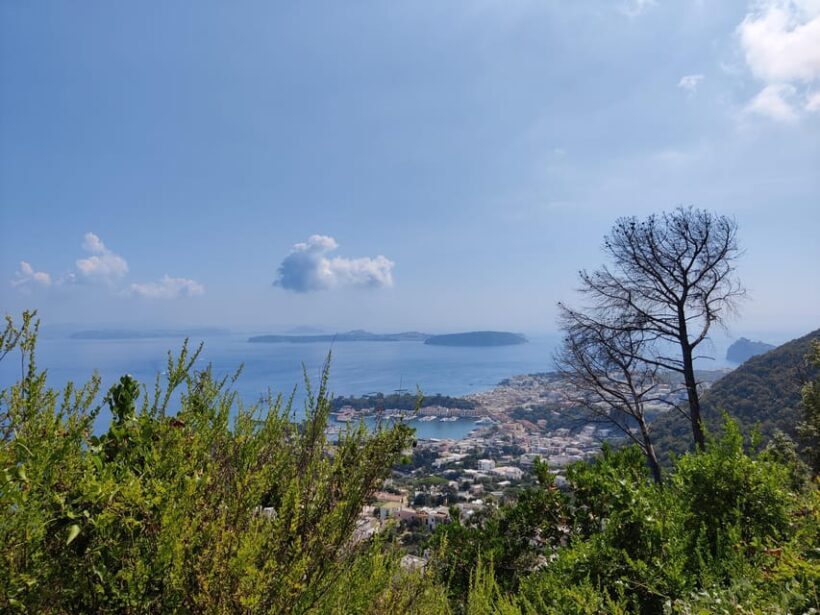 Ischia: Volcano hike - A Deep Dive into the Rotaro Volcano Hike