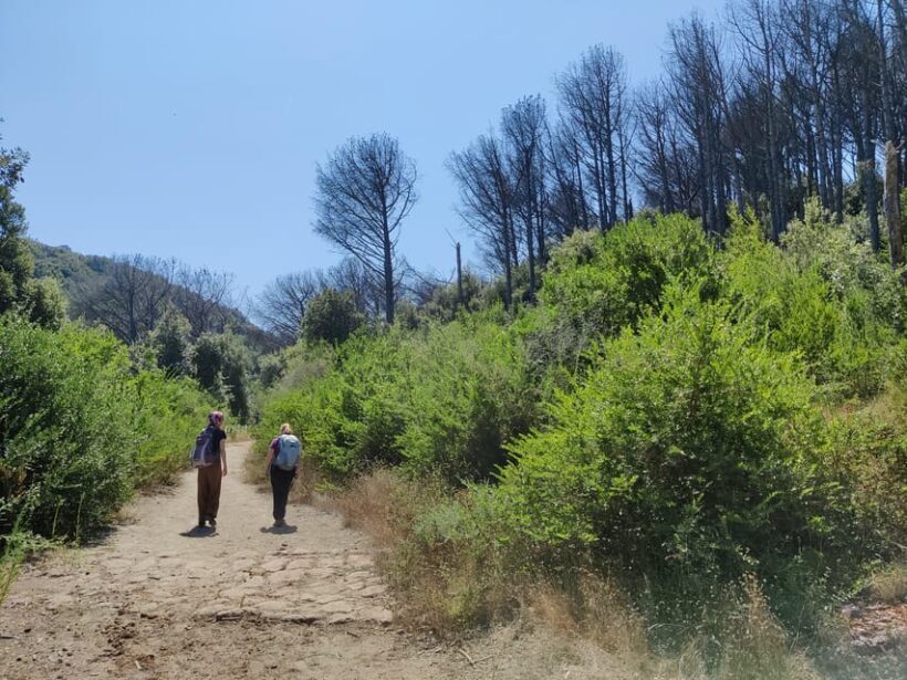 Ischia: Volcano hike - Who Will Love This Tour?