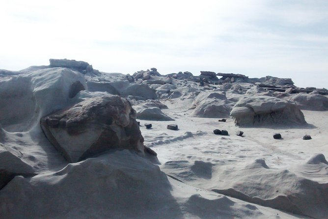 Ischigualasto National Park - Moon Valley - Discovering Ancient Fossils