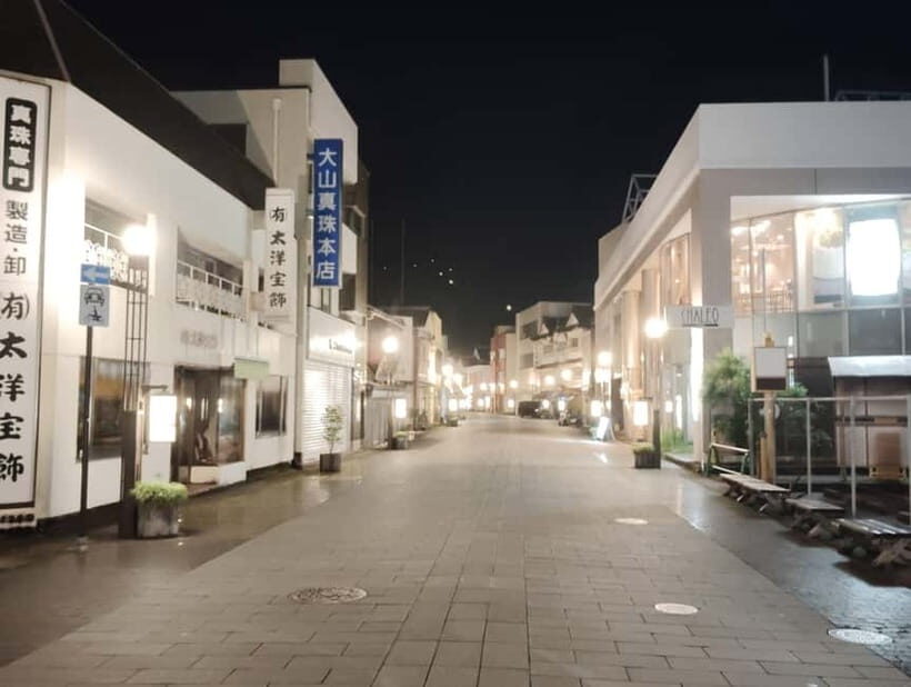 Ise: Guided Bar-Hopping Tour with Food and Drinks - Who Will Love This Tour?