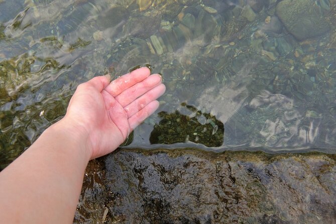 Ise Jingu Half Day Private Tour - Key Points