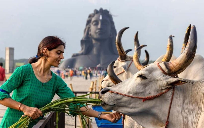 Isha Yoga Center from Coimbatore - Day Trip with Lunch - The Iconic Adiyogi Shiva Statue