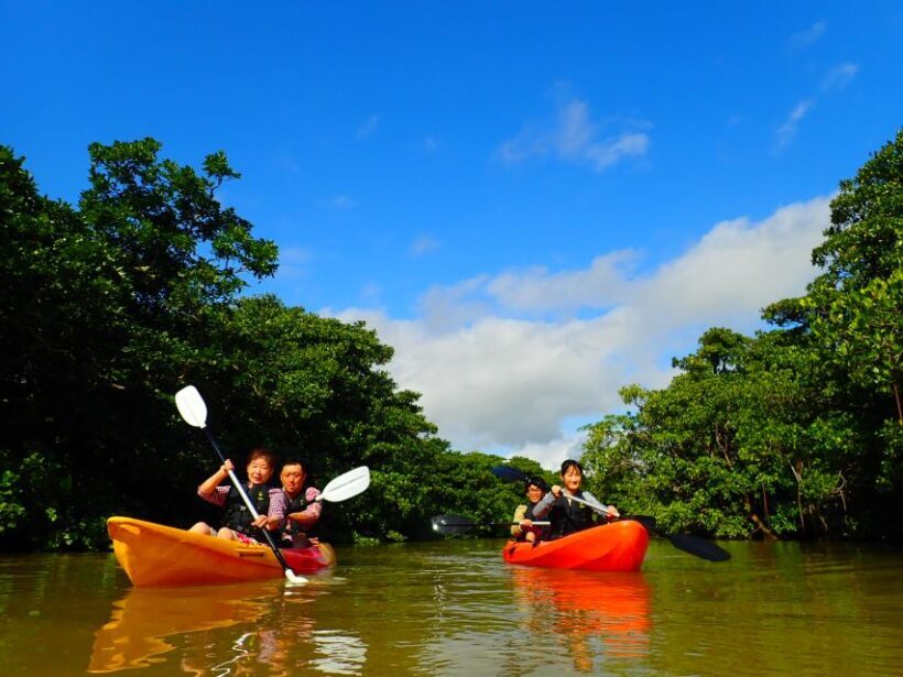 Ishigaki Island: 2-Hour Miyara River SUP or Canoeing Tour - Key Points