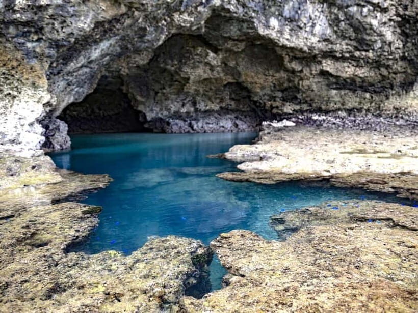 Ishigaki Island: Blue Cave Snorkeling & Taketomi Sightseeing - Key Points
