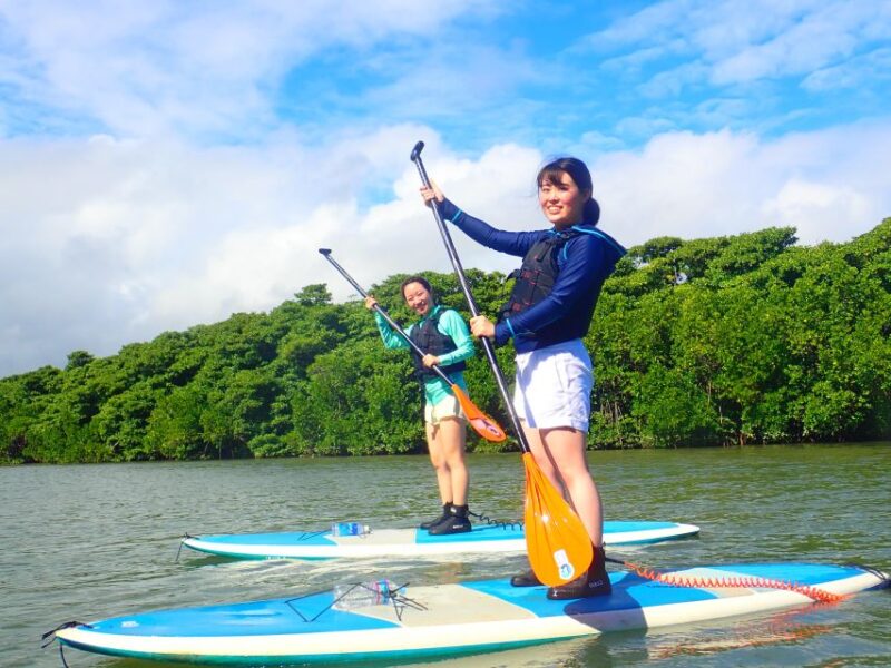 Ishigaki Island: SUP/Kayaking and Snorkeling at Blue Cave - Exploring the Mangrove Forests