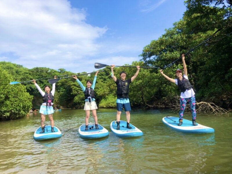 Ishigaki Island: SUP/Kayaking and Snorkeling at Blue Cave - Snorkeling at the Blue Cave