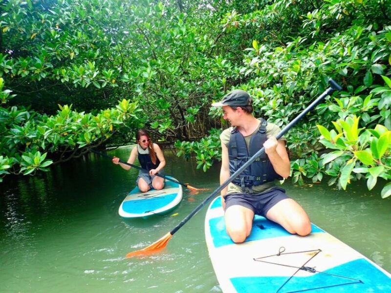 Ishigaki Island: SUP/Kayaking and Snorkeling at Blue Cave - Local Cuisine and Lunch Options