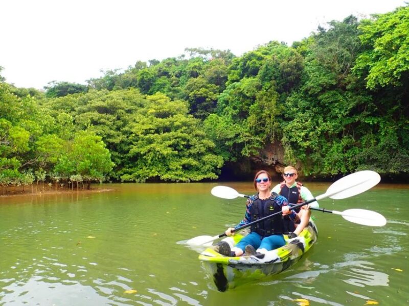 Ishigaki Island: SUP/Kayaking and Snorkeling at Blue Cave - Customer Feedback and Experiences
