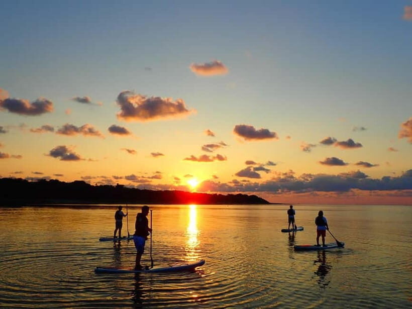 Ishigaki Island:Choice of Sunrise SUP or Canoe Tour - The Sum Up