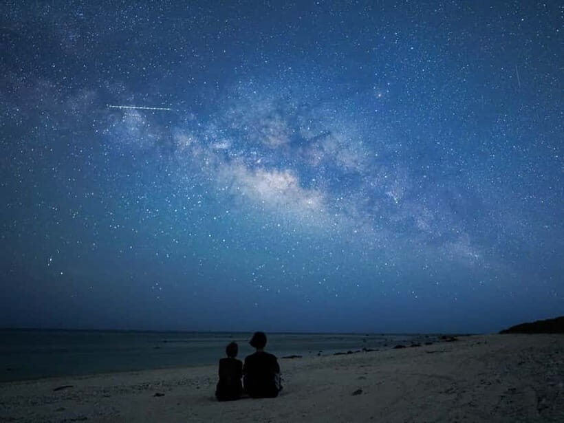 Ishigaki: Jungle Walk and Stargazing Night Tour - Exploring Ishigaki’s Night Jungle and Stars