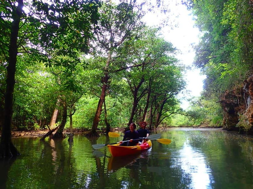 Ishigaki: Mangrove SUP or Canoe & Phantom Island Snorkeling - Key Points