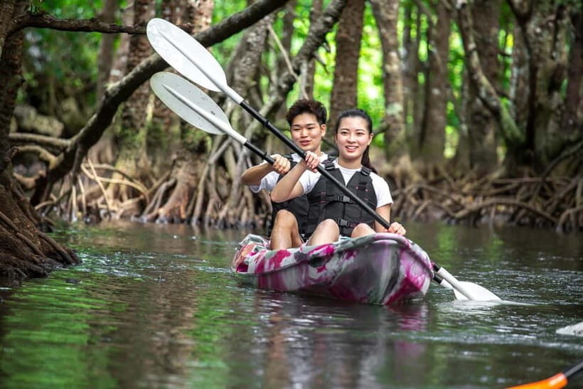 Ishigaki: Mangrove SUP or Canoe Tour  Taketomi Sightseeing - An Authentic, Scenic Journey Through Ishigaki’s Mangroves