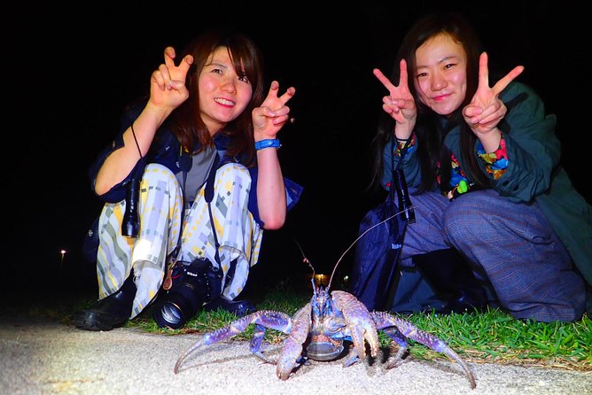 [Ishigaki] Night Jungle Tour - Tour Experience and Reviews