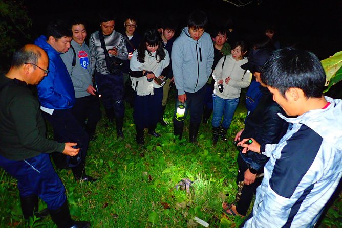 [Ishigaki] Night Jungle Tour - Immerse Yourself in the Local Wildlife