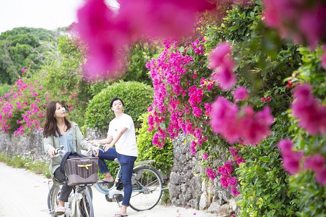 Ishigaki Phantom Island Snorkeling Taketomi Island Sightseeing - Whats Included in the Experience