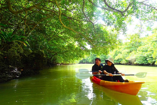 [Ishigaki]Mangrove SUP/Canoe Tour - Paddling Through the Serene Waterways
