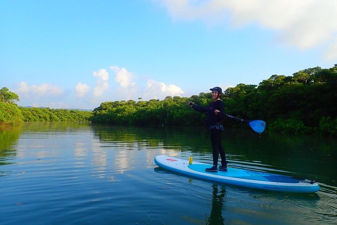 [Ishigaki]Mangrove SUP/Canoe Tour - Encountering Wildlife Along the Way